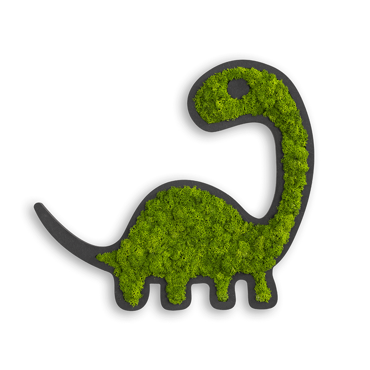 Piktogramm: Tier Dino Islandmoos | Kinderzimmer | Produkte | styleGREEN.ch